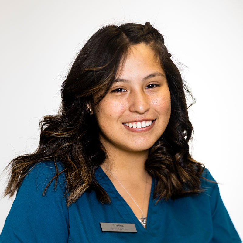 Team - Vet in Reno | Mountain View Animal Hospital