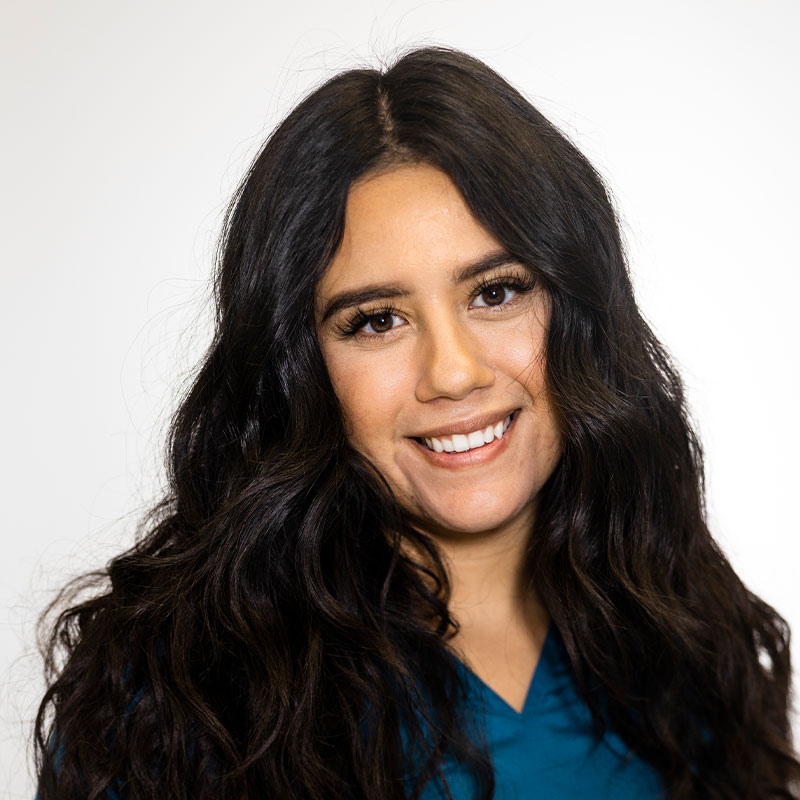 Team - Vet in Reno | Mountain View Animal Hospital