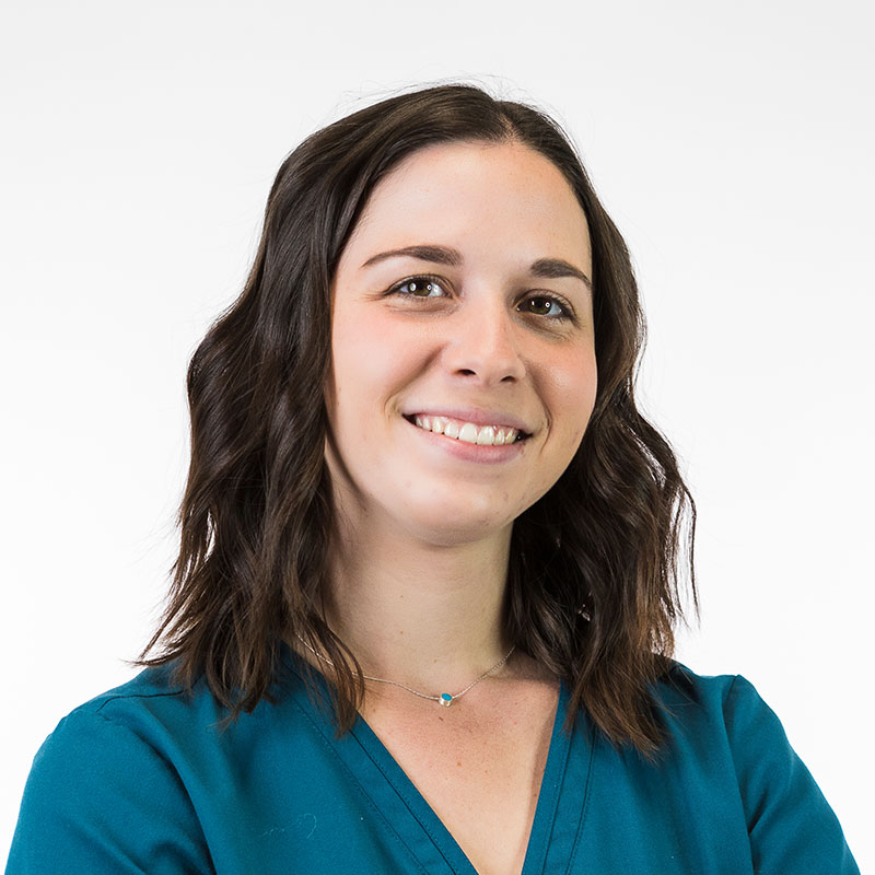 Team - Vet in Reno | Mountain View Animal Hospital