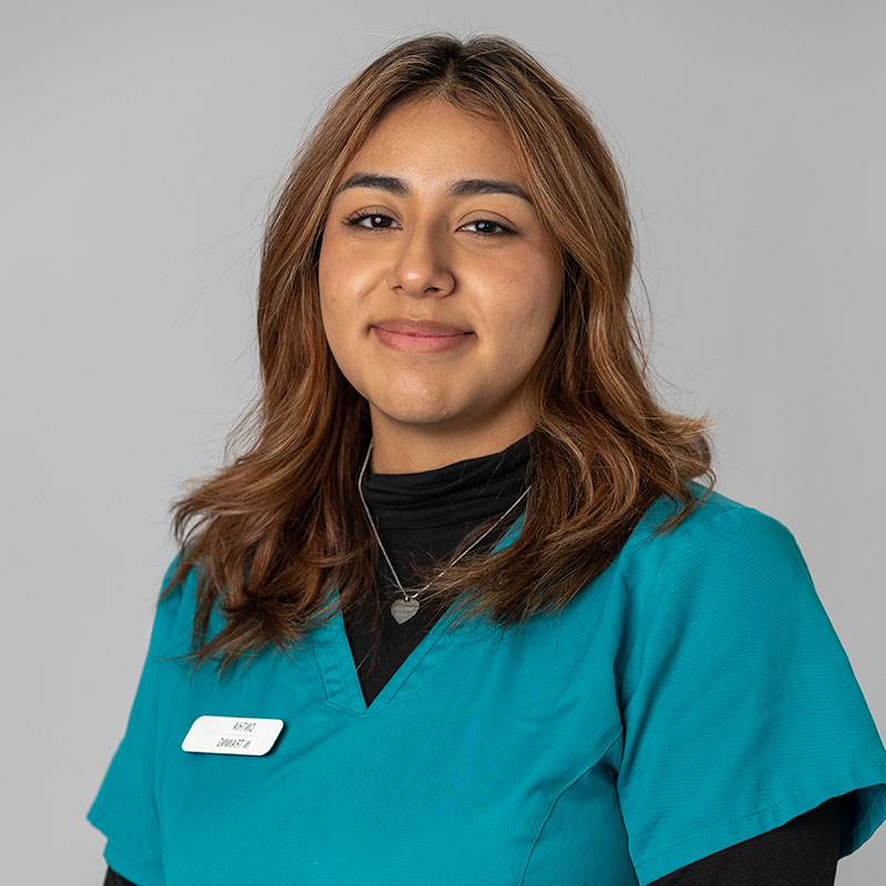 Team - Vet in Reno | Mountain View Animal Hospital