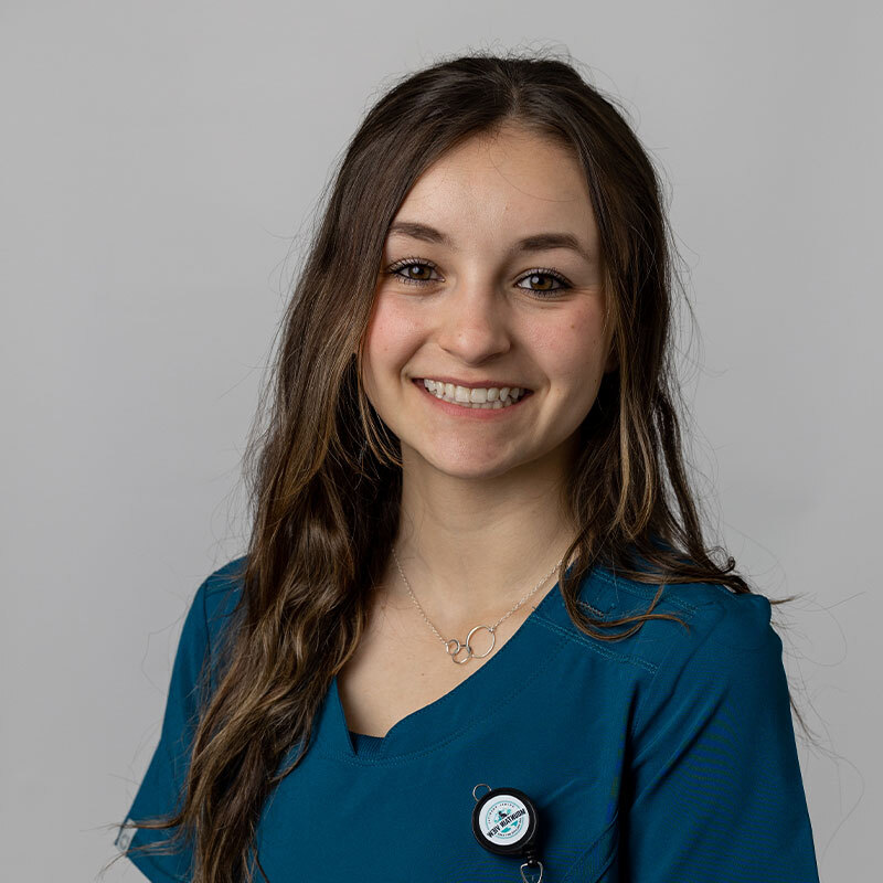 Team - Vet in Reno | Mountain View Animal Hospital